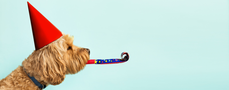 WHCC Celebrates Pet Appreciation Week | West Hills Colleges